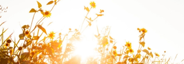 CONFERENCE INVITATION | FAFCE XXV Anniversary: "Celebrating the Beauty ...